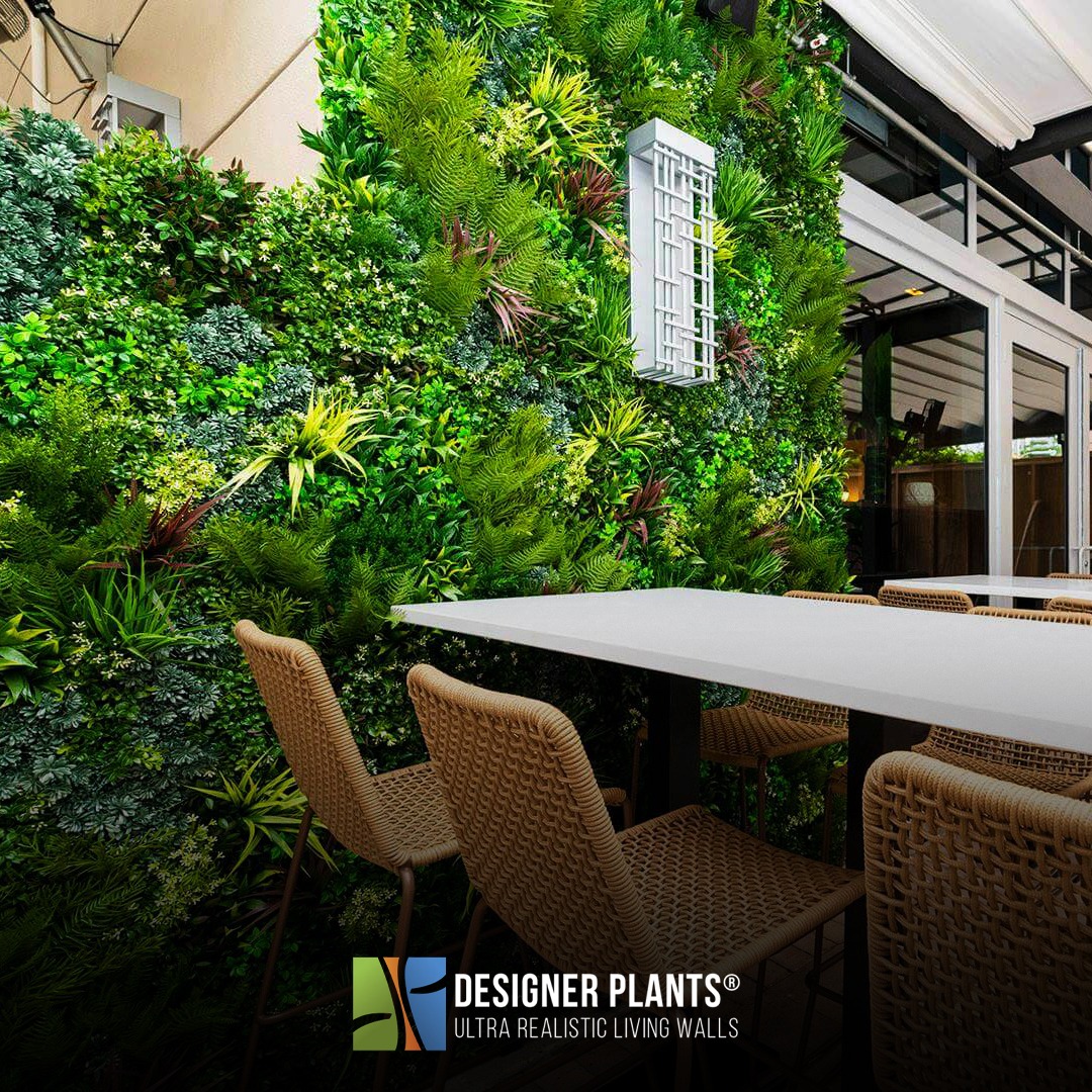 Designer Plants - Eon Eden